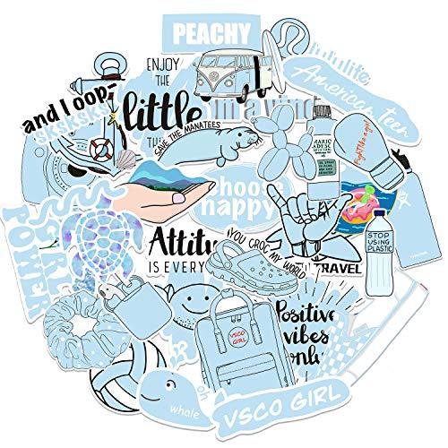 Blue Vsco Stickers 50 PCS Big Variety Stickers Pack, Colorful Vinyl ...