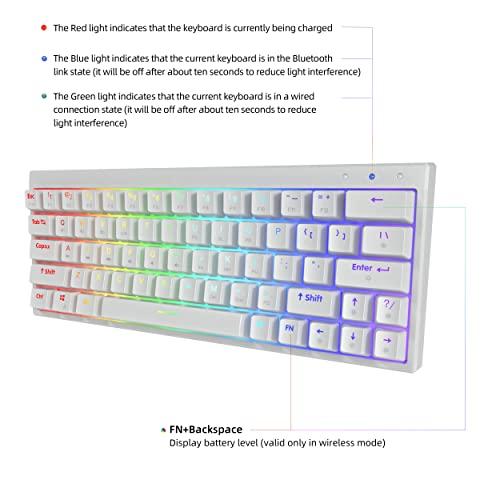 Ractous RTK63B 60% Wireless Mechanical Gaming Keyboard,RGB Blacklit PBT ...