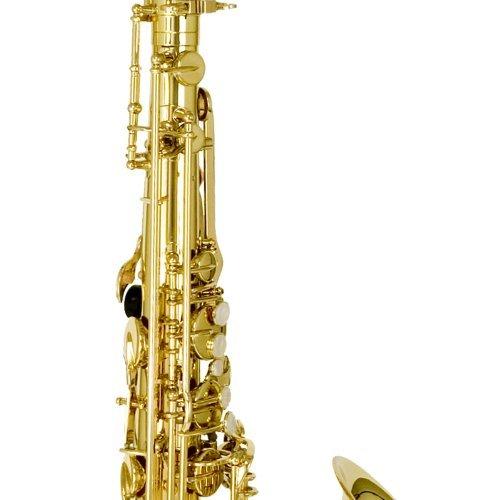 Mendini by Cecilio Tenor Saxophone, L+92D B Flat, Case, Tuner ...
