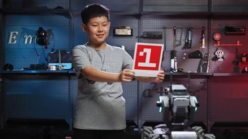 DJI RoboMaster S1 - Robot Educativo STEM Aprendizaje Científico Programable Mini Coche Control ...