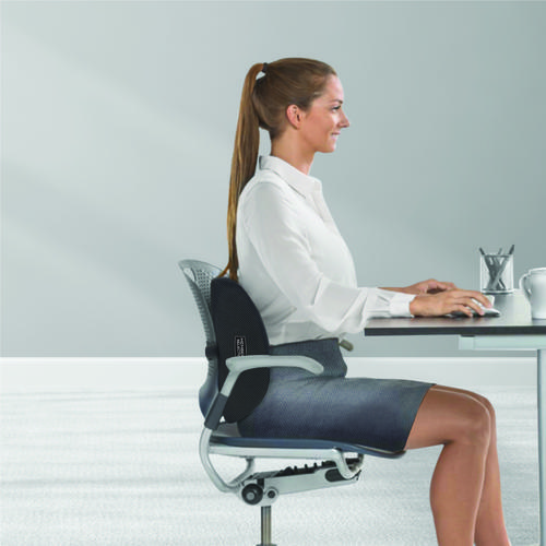 Cojín De Soporte Lumbar Members Selection : Precio Costa Rica