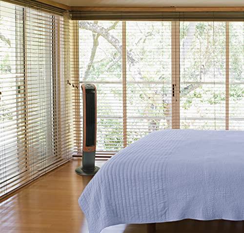 Lasko Ventilador de torre oscilante con curva de viento, tecnología ...