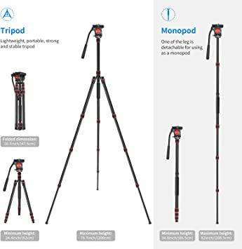 Neewer Trípode de cámara de fibra de carbono N55CL 2 en 1, monopod ...