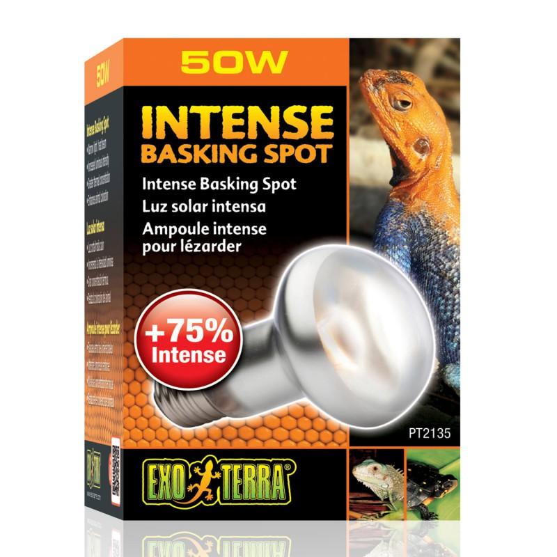 Bombillo Luz Solar Intensa 50 W - S20 - PT2135 : Precio Costa Rica