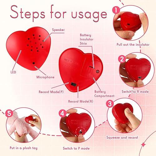 Fabbay 12 Pack Voice Recorder for Stuffed Animal 30 Seconds Push Button ...