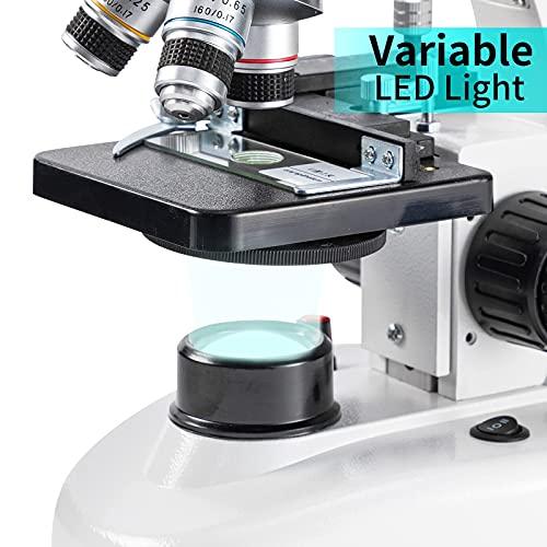 Compound Binocular Microscope,WF10x and WF25x Eyepieces,40X-2000X ...