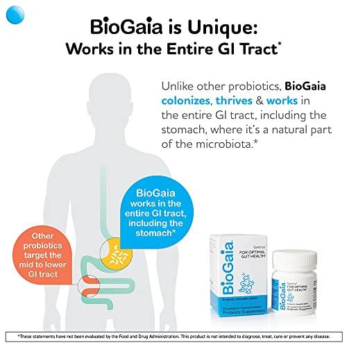 Tabletas masticables BioGaia Gastrus, suplemento probiótico para ...