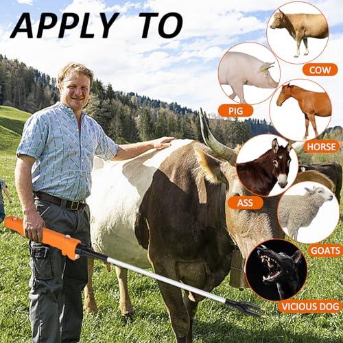 Cattle Prod Livestock Prod with Led Light Rechargeable Cattle Prod ...