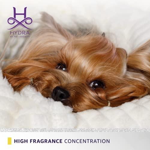 Hydra Forever Candy Pet Cologne, Finishing Cologne for Dogs and Cats ...