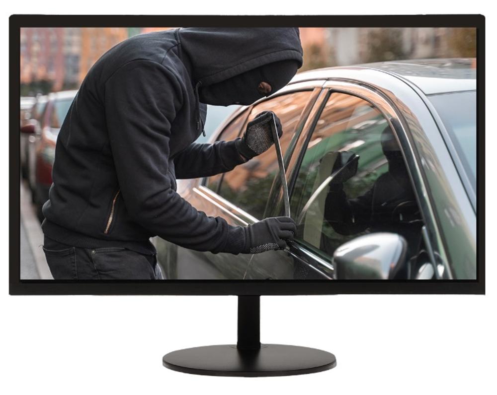 Monitor De Cctv 20" : Precio Guatemala